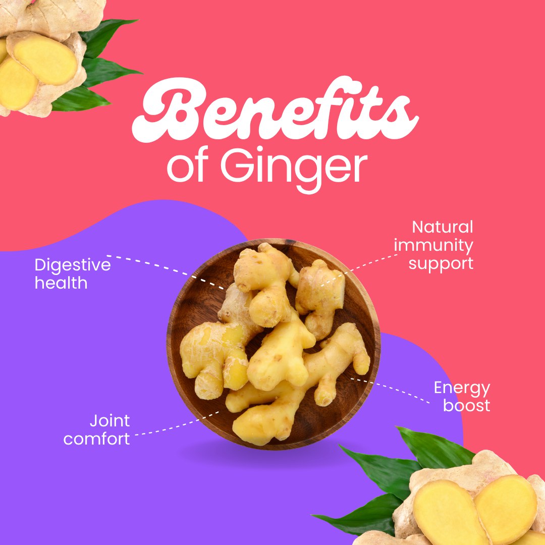 Transform Your Daily Wellness with Ancient Nutra's Premium Ginger Caps